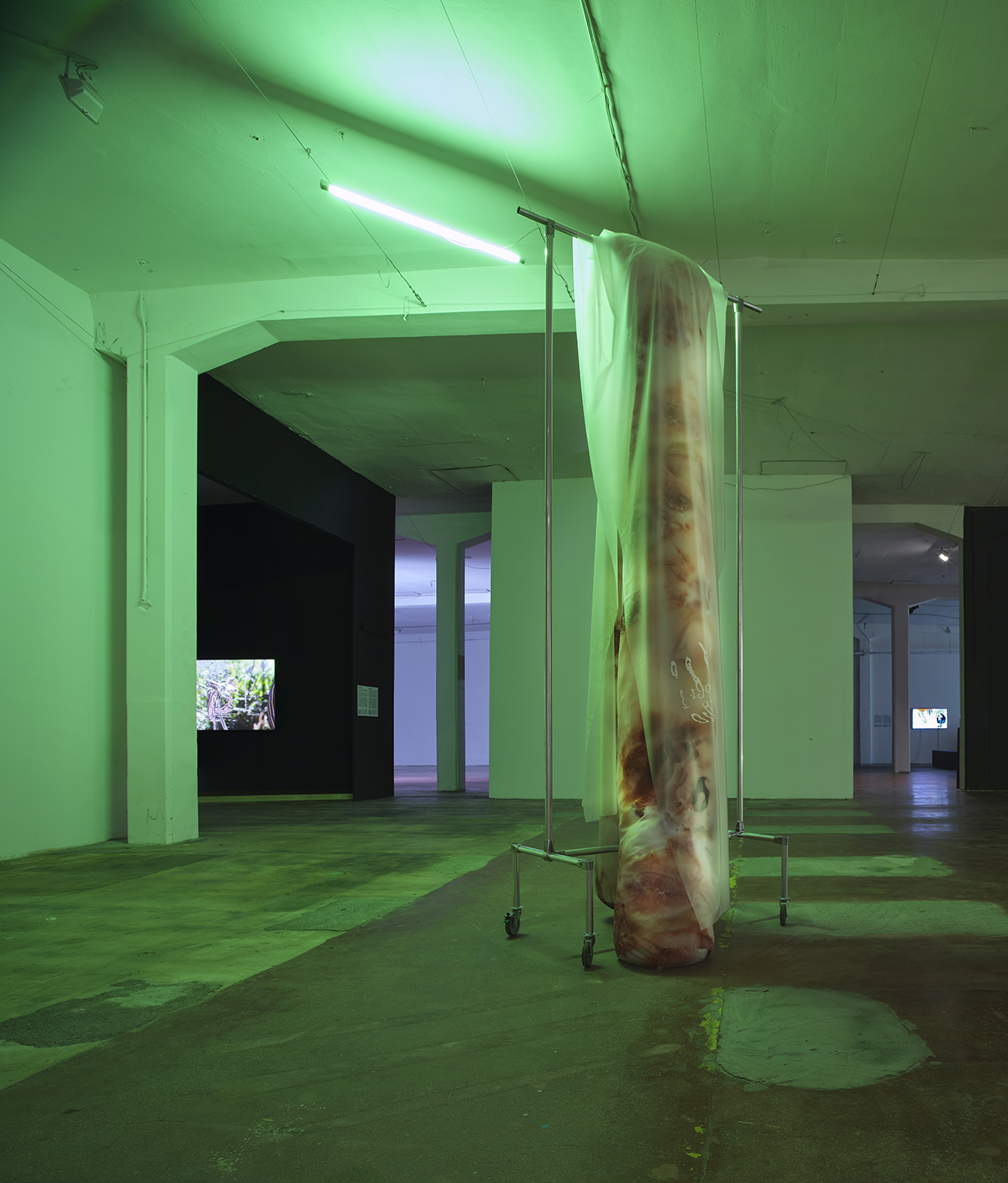 Exhibition Kiblix 2021 22