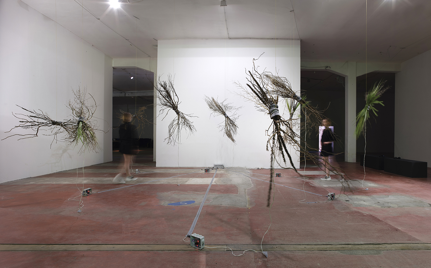Third Landscape Kiblix 2021 22